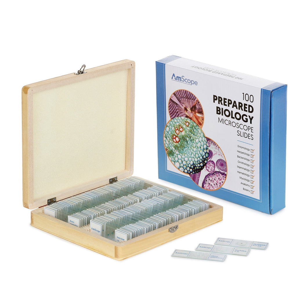AmScope M150 Series Portable Student Monocular Compound Microscope 40X ...