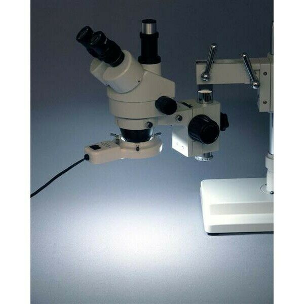 AmScope 8W Stereo Microscope Fluorescent Ring Light – AmScope EU