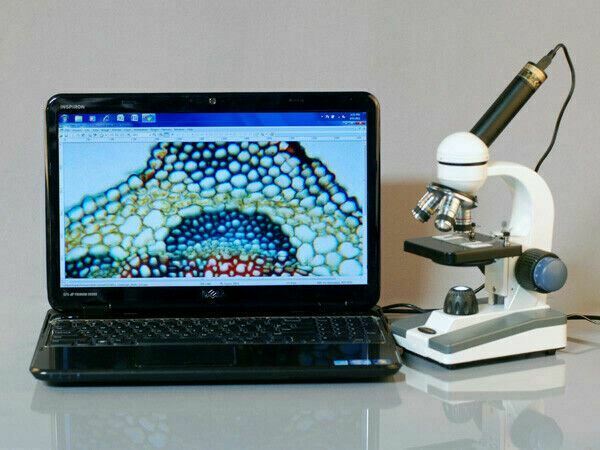 AmScope M150 Series Portable Student Monocular Compound Microscope 40X ...