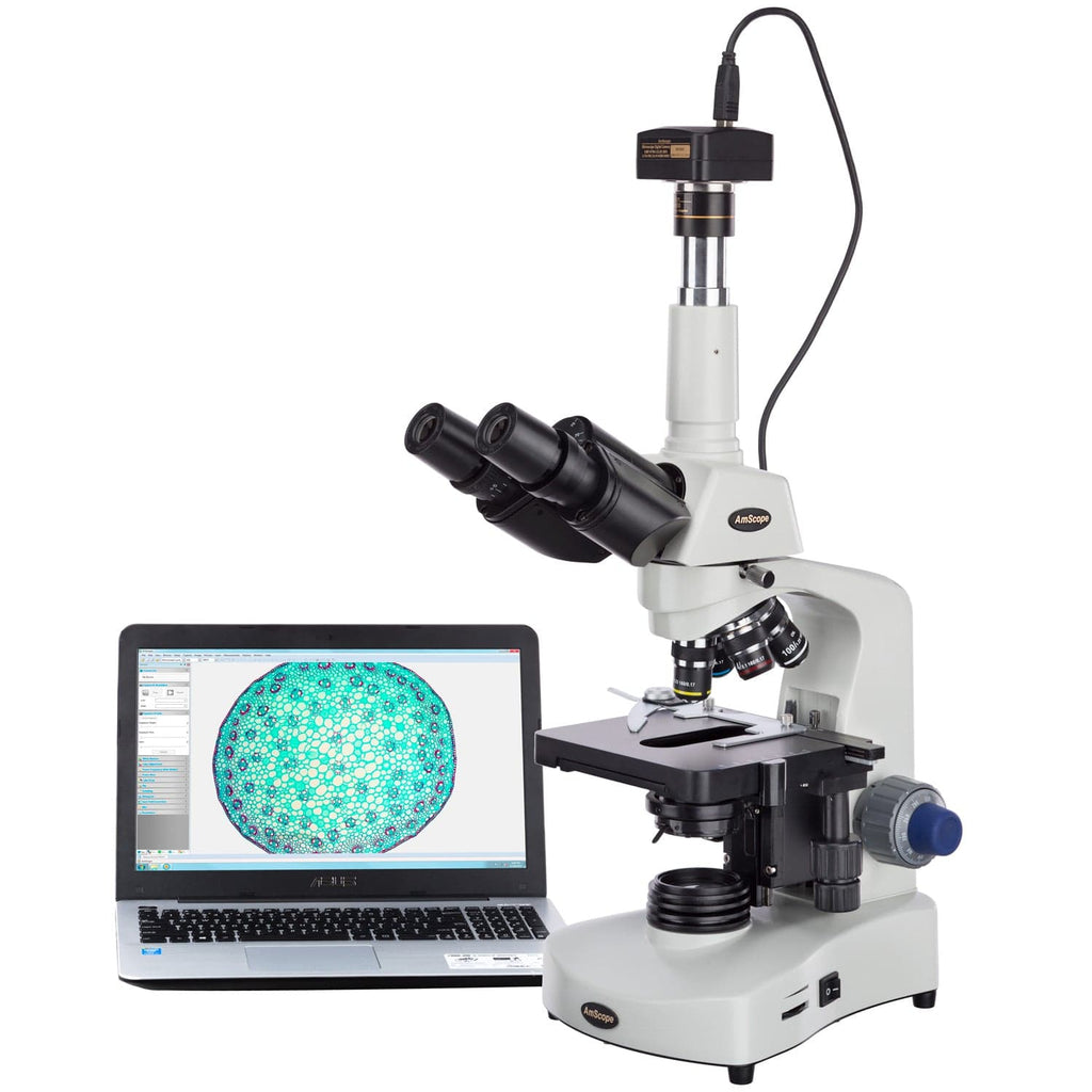AmScope T340 Series 3W LED Siedentopf Trinocular Compound Microscope 4 ...