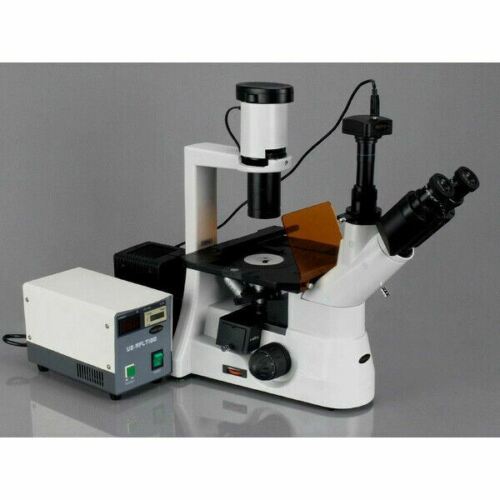 AmScope IN300 Series Inverted Phase-Contrast Biological EPI-Fluorescen ...