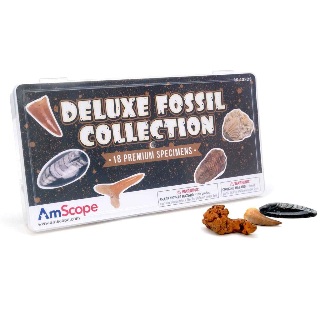 Deluxe Fossil Collection w/18 Unique Specimens and Full Color Identifi ...