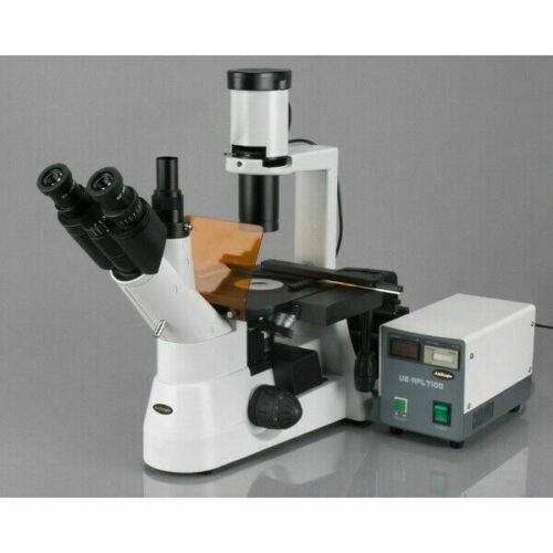 AmScope IN300 Series Inverted Phase-Contrast Biological EPI-Fluorescen ...