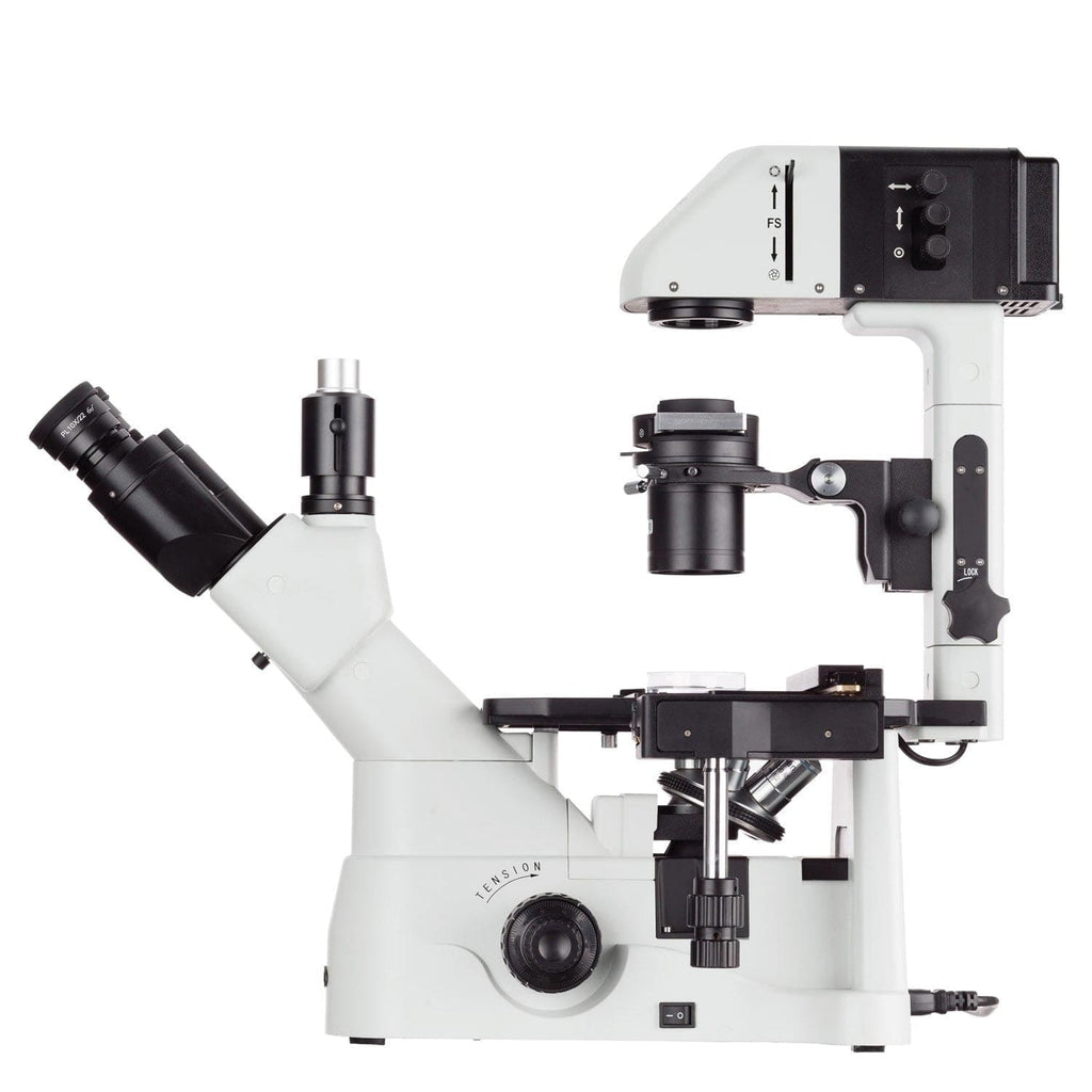 AmScope IN480 Series Inverted Infinity-Corrected Phase-Contrast Trinoc ...