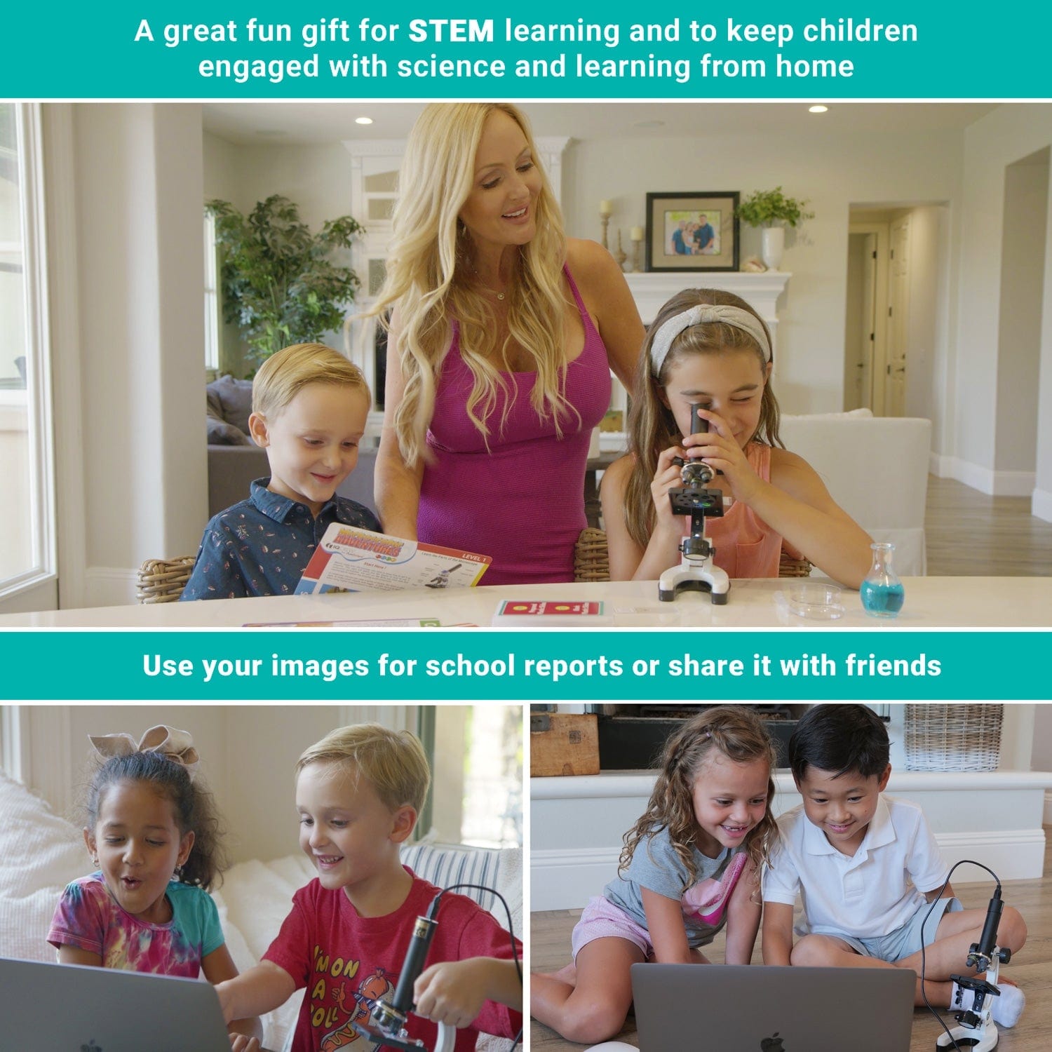 Back to School 2024 – AmScope EU