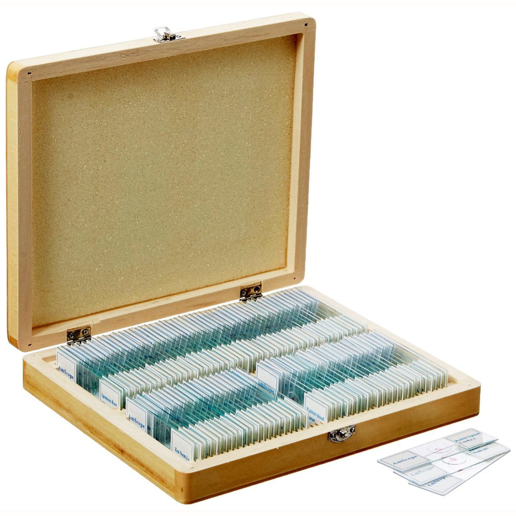 100pc Prepared Glass Microscope Slides in Wood Case with Insect, Mamma ...