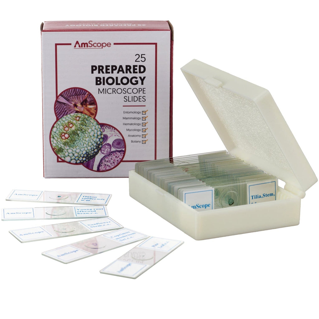 AmScope 25pc Prepared Glass Microscope Slides in Plastic Case with Pla ...